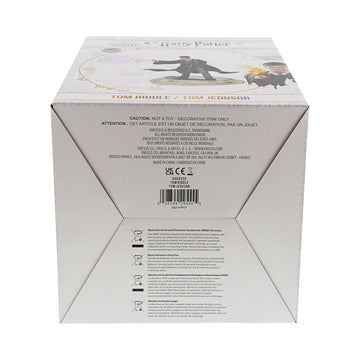 Tom Riddle Figurine - The Wizarding World of Harry Potter – Enesco Gift ...