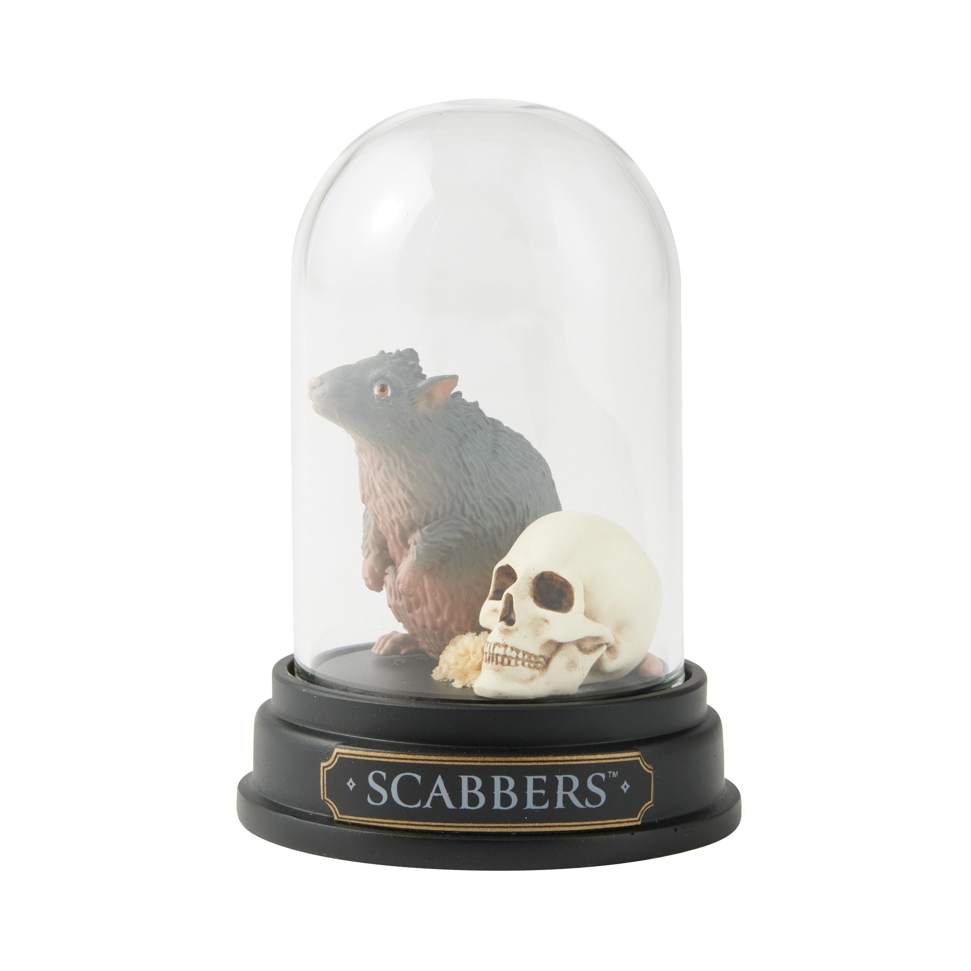 Scabbers Curiosity Cloche - Wizarding World of Harry Potter – Enesco ...