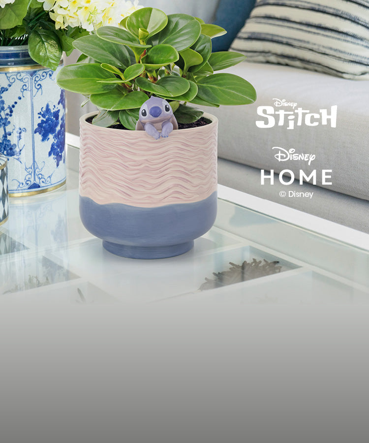 Enesco Gift Shop - branded gifts for any occasion